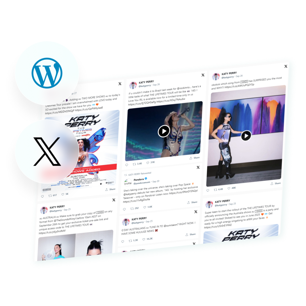 How to add Twitter Feed to Wordpress - Twitter Feed Plugin (Widget)